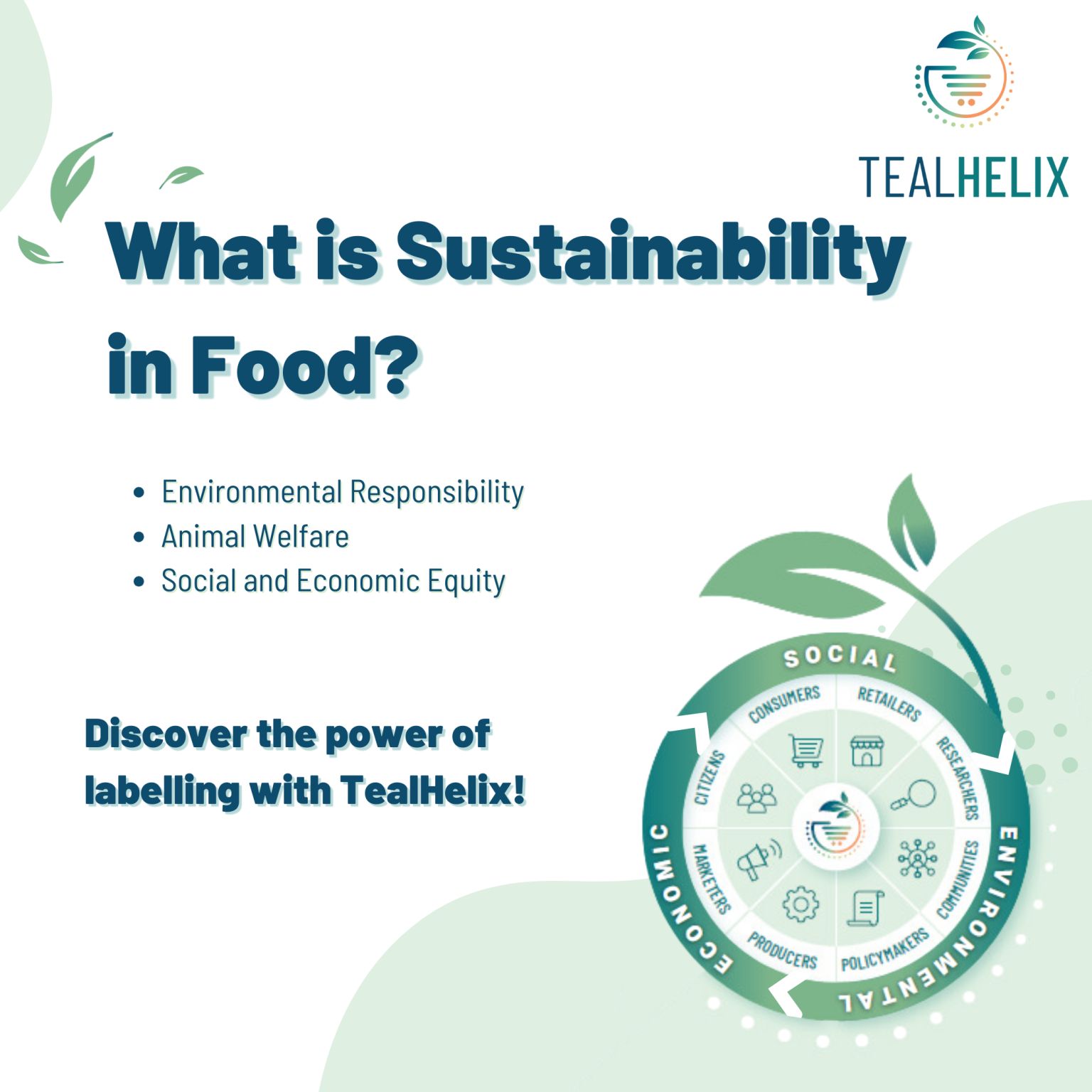 Understanding Sustainability in Food! - TealHelix Project